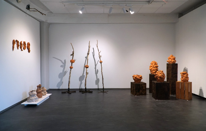 Wild clay Exhibitions